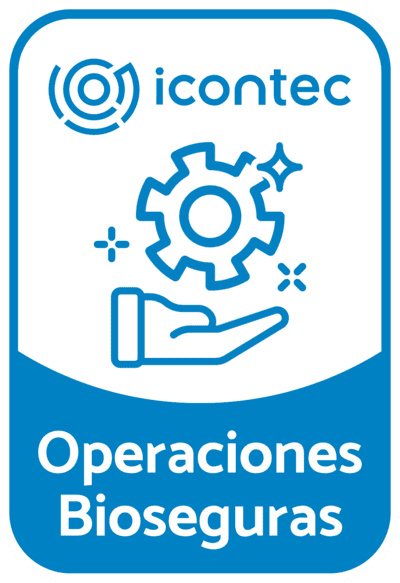 quiénes somos – e-motion